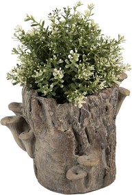 Hnědý cementový květináč kmen stromu s houbami Botanic M - 24*18*18 cm