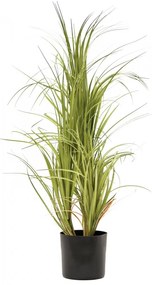 Umělá květina - Dracena, 80 cm