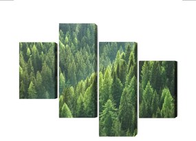 Vícedílný obraz Zelení Lesa Nedostatek Nedostatek Přírodní plátno 160x100