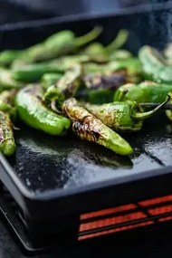 Outdoorchef Litinová PLANCHA XL