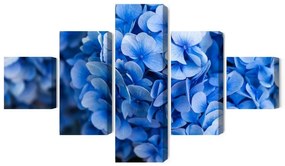 Vícedílný obraz Modré Květy Hortenzie Zblízka Nedostatek Nedostatek Plátno Canvas 200x120