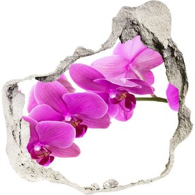 Wallmuralia Samolepící díra nálepka Růžová orchidej 75x75 cm