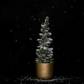 Charlie Metallic Gold XXXS - Ø 8 cm / V 7,5 cm