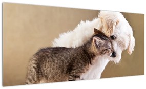 Kotě a štěně - obraz (100x40cm)