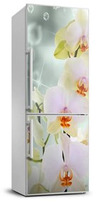 Wallmuralia Nálepka fototapeta na ledničku Orchidej 60x180 cm