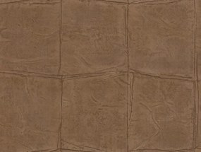 Luxusní vliesová tapeta 806342 hnědá kůže / Vliesové tapety na zeď Aldora 2020 (0,53 x 10,05 m) Rasch