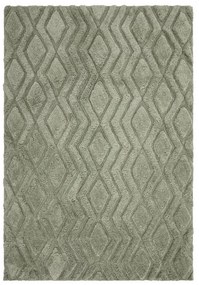 Zelený koberec 170x120 cm Harrison - Asiatic Carpets