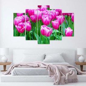 Obraz na plátně pětidílný Růžové tulipány - 200x100 cm