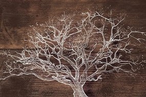 Samolepící tapeta koruna stromu na dřevěném podkladu - 225x150 cm