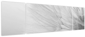 Obraz - Pampeliška (170x50 cm)
