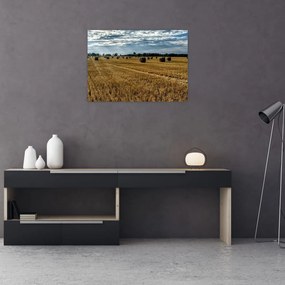 Skleněný obraz sklizeného obilného pole (70x50 cm)