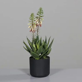 Květina umělá Agáve kvetoucí v černém květináči, 38cm, textil, zelená/růžová, (balení obsahuje 1ks)|DPI|Ego Dekor