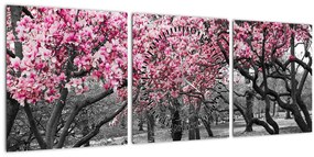 Obraz stromů Magnolíie (s hodinami) (90x30 cm)