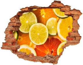 Wallmuralia Nálepka 3D díra na zeď Citrusové ovoce 90x70 cm