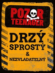 Postershop Plechová cedule: Pozor Teenager - 30x40 cm