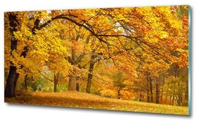Wallmuralia Foto obraz sklo tvrzené Podzim v parku 100x50