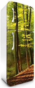 Fototapeta na lednici Forest 65 x 180 cm FR180-028