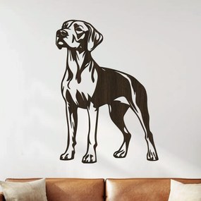 dřevo života Dřevěný obraz Anglický Pointer Zvolte rozměr (cm): 57x80, Zvolte barvu dekoru: Wenge