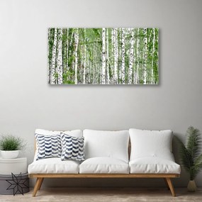 akrylový obraz Bříza Les Stromy Příroda 100x50 cm