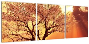 Obraz přírody - strom