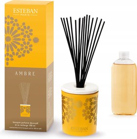 Esteban Paris Difuzér s tyčinkami 100 ml Dekorativní Ambre
