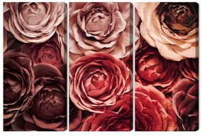 Vícedílný obraz Barevné Květiny Zblízka 3D Nedostatek Nedostatek Přírodní plátno 150x100