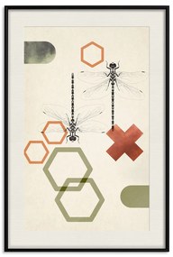 Plakát Vážky a geometrie - abstraktní kompozice barevných tvarů a hmyzu