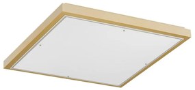 Argon | Argon 7167 - Stropní svítidlo CARLSON 2xE27/15W/230V 29x29 cm zlatá | AR7167