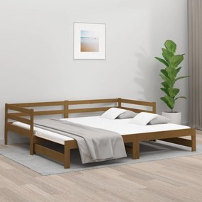 vidaXL Výsuvná postel 2x (80 x 200) cm masivní borovice [814697] Barva: medová hnědá