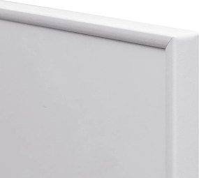 Nástěnný infrapanel Economy 700W | Výhřevnost 12,5 m2 | 120x60 cm | Bez termostatu