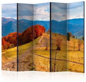 Paraván - Autumn landscape in the Carpathian mountains II [Room Dividers]