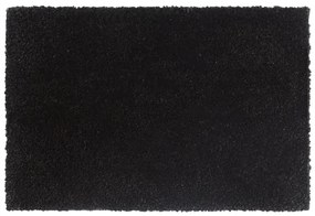 Rohožka před dveře černá 40 x 60 cm kokosové vlákno 155570
