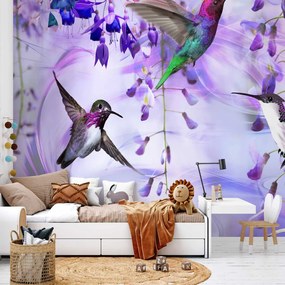 Fototapeta Létající kolibři - motiv létajících ptáků mezi květy v fialové