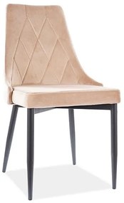 Jídelní židle Trix III Velvet, béžová / černá