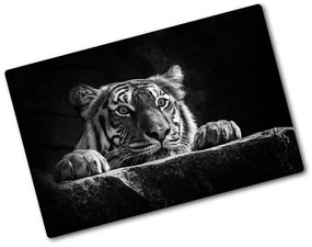 Wallmuralia Kuchyňská deska skleněná Tygr 80x52 cm