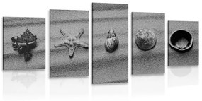 5-dílný obraz mušle na písečné pláži v černobílém provedení Varianta: 100x50