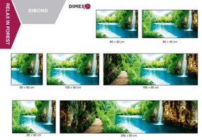 DIMEX | Dibond za kuchyňskou linku DBW-08060-034 | 80 x 60 cm | Relax v lese