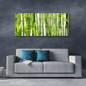 Plexisklo-obraz Bambusové Výhonky Listy Bambus 125x50 cm