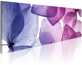 Obraz Moderní vzor (1-dílný) - příroda s motivem barevných květů