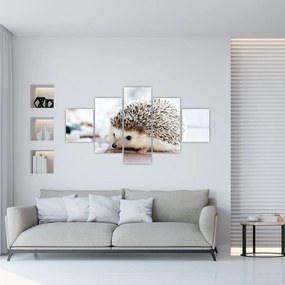 Obraz ježka (125x70 cm)