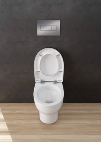 Deante WC s prkénkem softclose Avis závěsné -