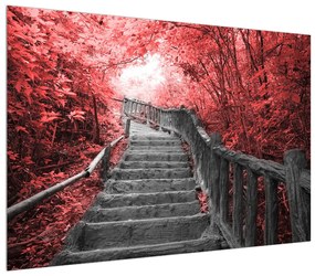 Obraz schodů vedoucích krajinou (100x70 cm)