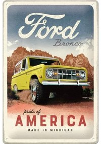 Postershop Plechová cedule: Ford Bronco (Pride of America) - 20x30 cm