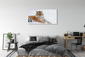 akrylový obraz Tiger winter 125x50 cm