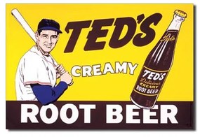 Plechová cedule Teds Creamy Root Beer 40 cm x 32 cm