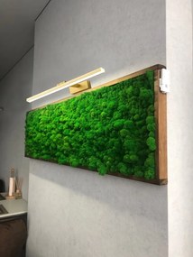 Koupelnové LED svítidlo APP833-1W 40 cm zlaté/neutrální bílá