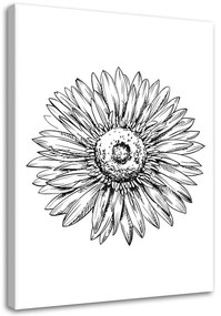 Obraz na plátně Květinová skica černá a bílá - 40x60 cm