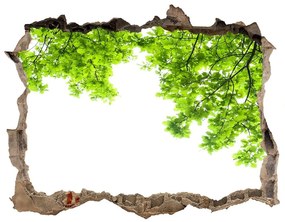 Wallmuralia Samolepící díra nálepka Listí dubu 95x64 cm