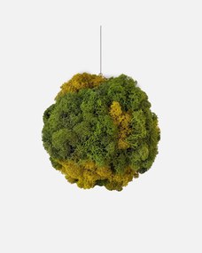 Závěsné mechové koule Plochý mech / Moss Green / 16 cm