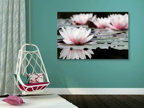 Obraz lotosový květ Varianta: 120x40